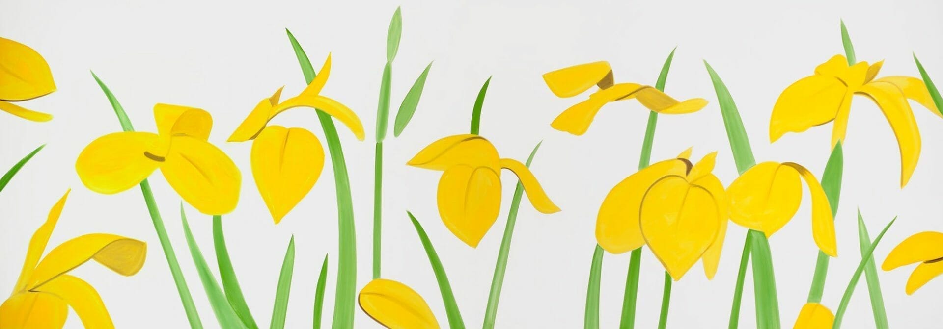 Alex Katz krijgt de ruimte in Museum Voorlinden - Mixed Grill
